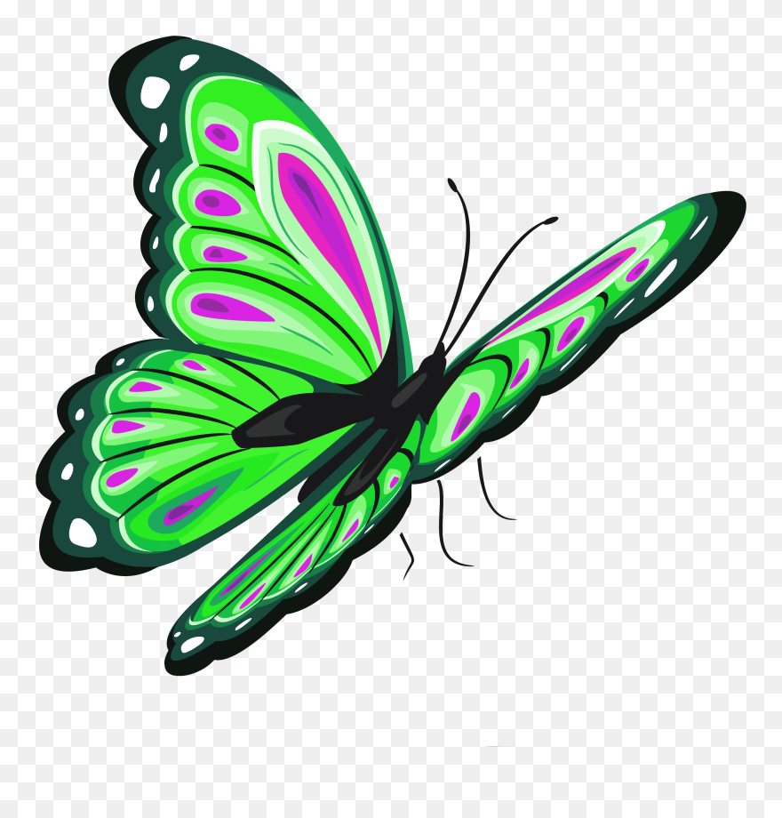 Download Butterfly Clip Art - Transparent Butterfly Clipart - Png ...