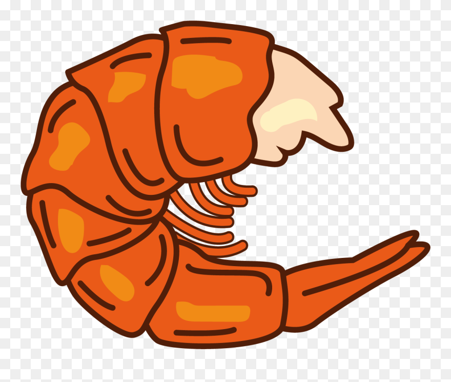 Seafood Clipart Fried Shrimp - Cooked Shrimp Shrimp Clip Art - Png ...