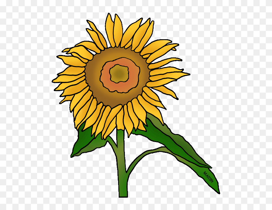 Download Sunflower Clipart Kansas - Clip Art - Png Download (#5274337 ...