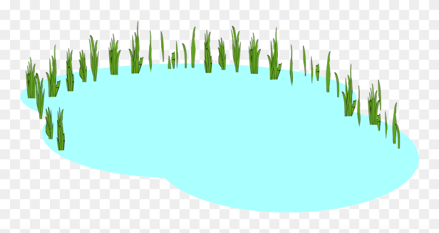 Download Swamp Vector Danau - Pond Clipart Transparent - Png Download ...