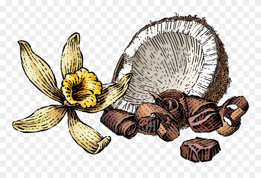 Download X Free Clip Art - Png Download (#5283308) - PinClipart