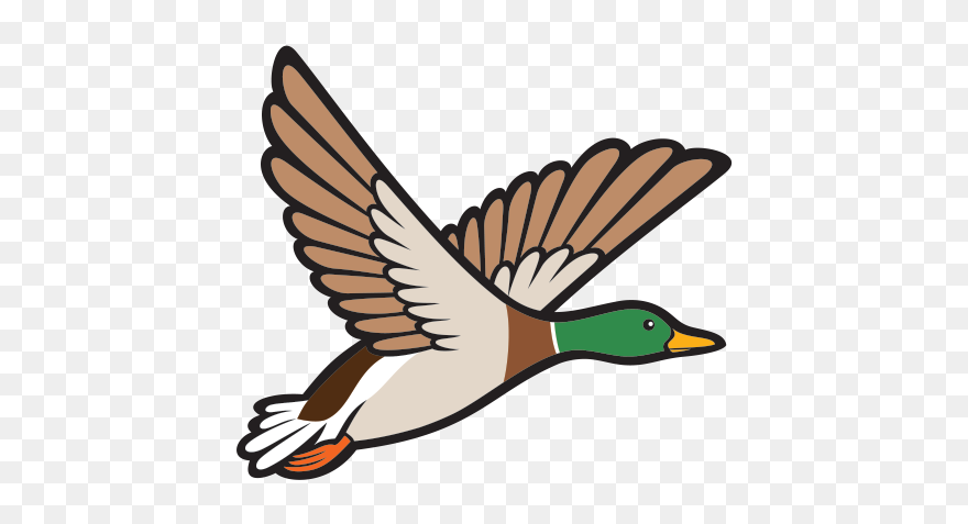 Download Goose Clipart Bird Fly, Goose Bird Fly Transparent - Flying ...