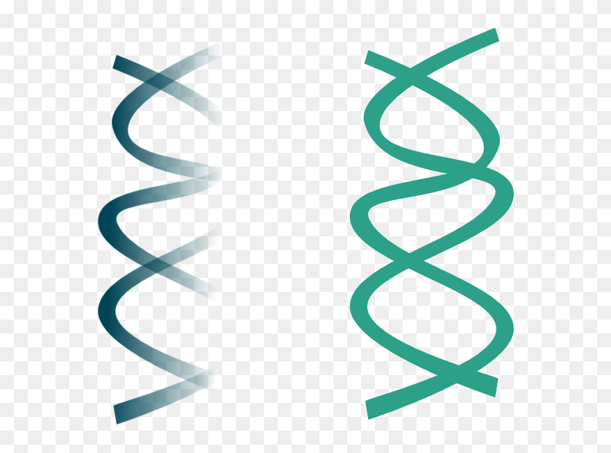 Dna Rna Png Clipart (#5286611) - PinClipart