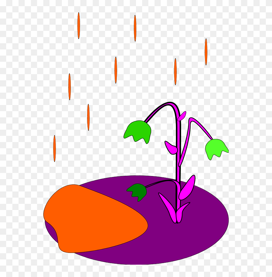 Download Rain Falling On Flower - Rain Formed For Kids Clipart ...