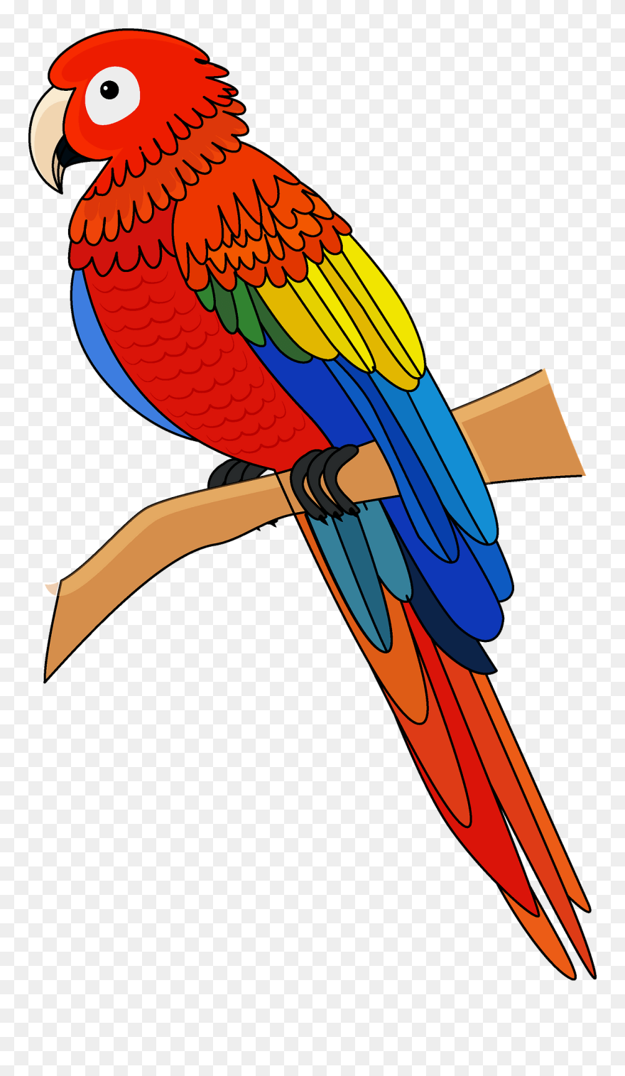 Macaw Clipart (#5292158) - PinClipart
