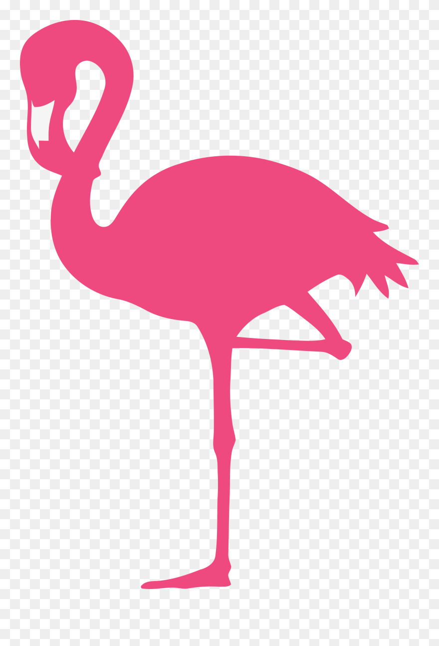 Clear Background Flamingo Transparent Clipart (#5293227) - PinClipart