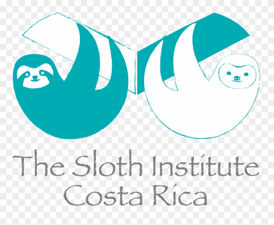 Sloth Institute Logo Clipart (#532914) - PinClipart