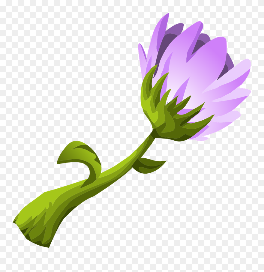 Knights Vs Dragons Wiki - Floral Swirl Head Design Clipart (#5302039 ...