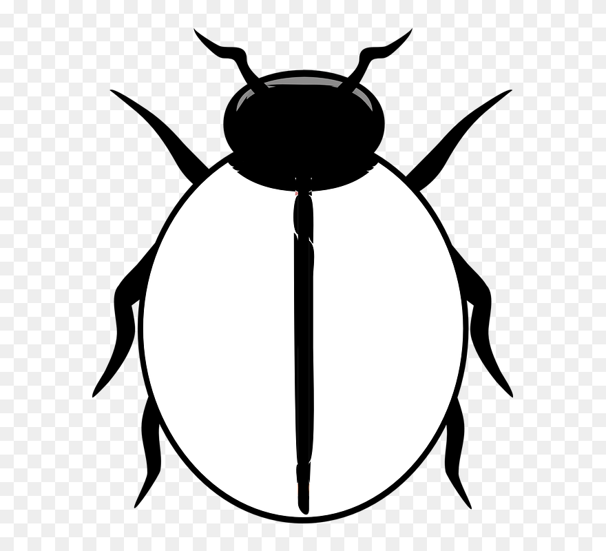 Download Lady Beetle Clipart Spot - Ladybird Clipart Black And White ...