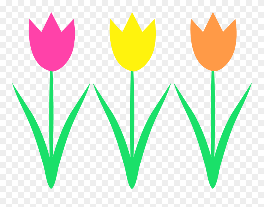 Spring Clip Art - Tulip Clipart - Png Download (#5303840) - PinClipart