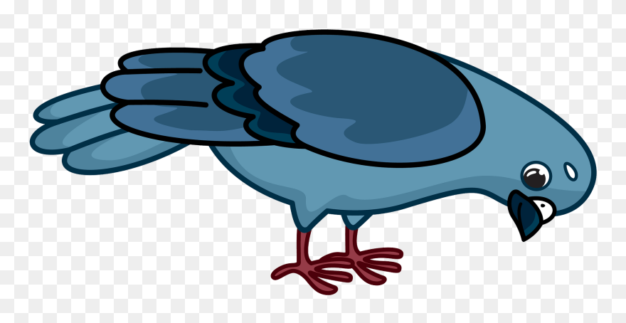 Flightless Bird Clipart (#5303916) - PinClipart