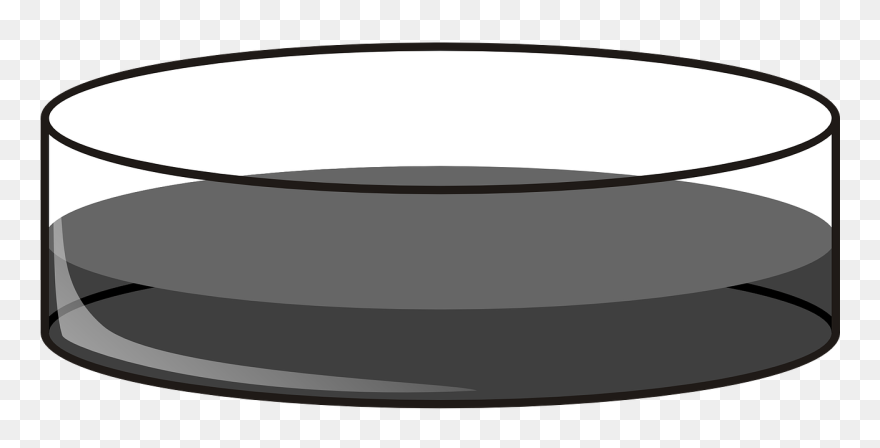 Transparent Petri Dish Png Clipart (#5336583) - PinClipart