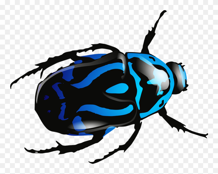 Blue Beetle Png Image - Beetle Clipart Transparent Png (#5341628 ...