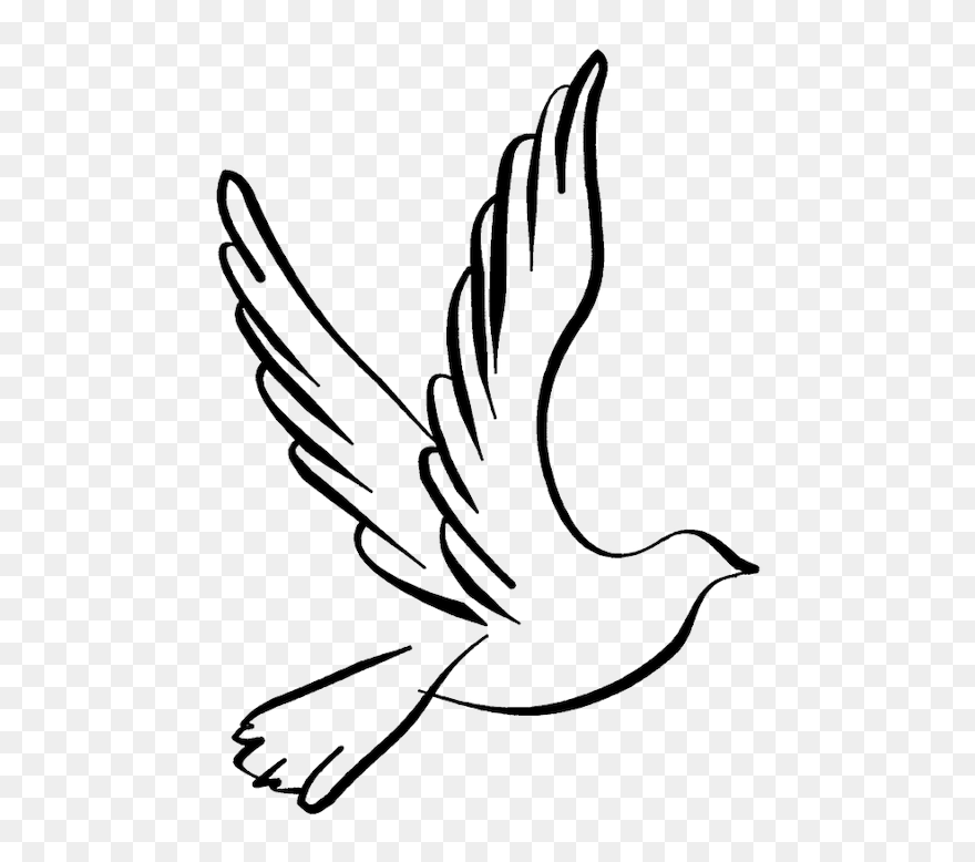 Download Peace Clipart Kalapati - Dove Outline Transparent Background ...