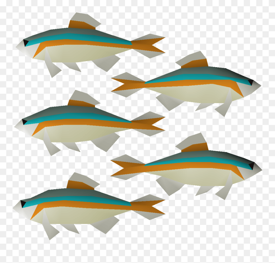 Minnow Png Clipart (#5348180) - PinClipart