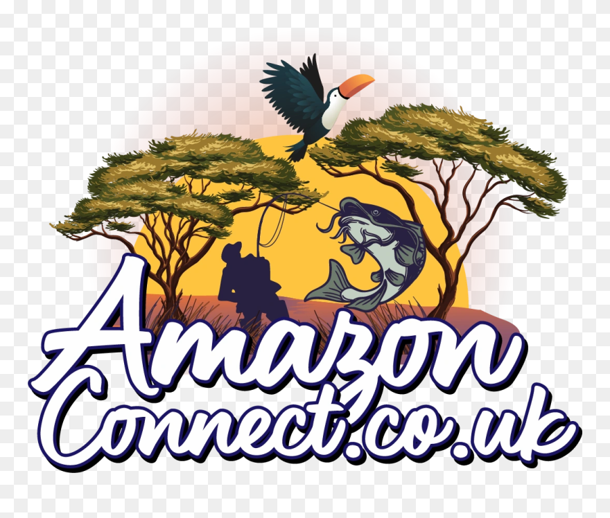 Amazon Connect - Illustration Clipart (#5351772) - PinClipart