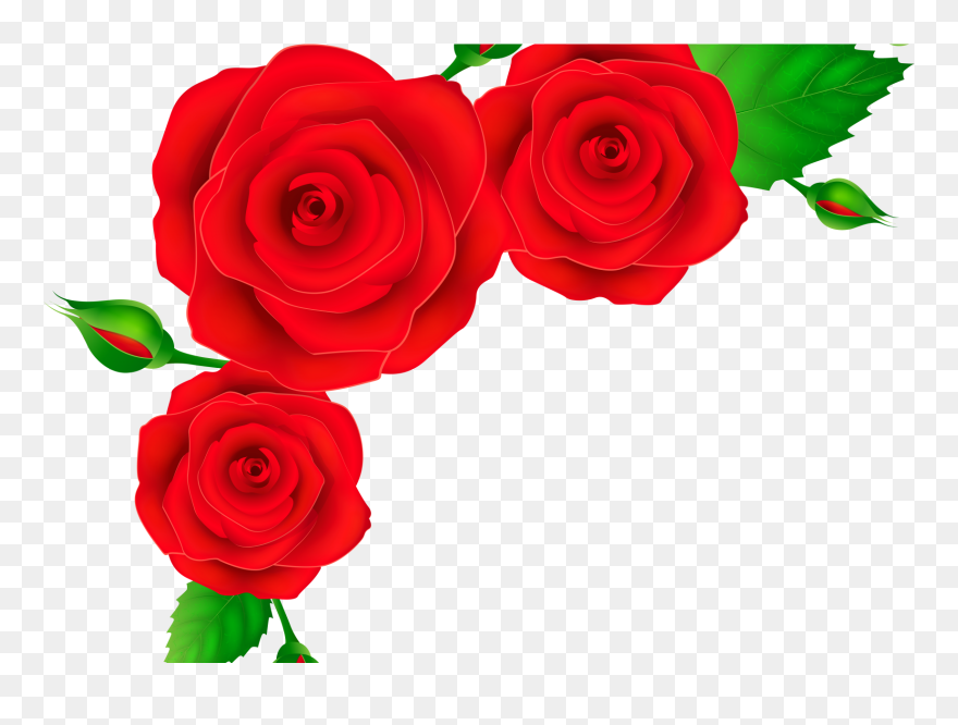 Download Rose Corner Border Cartoon - Flower Corner Design Png Rose ...