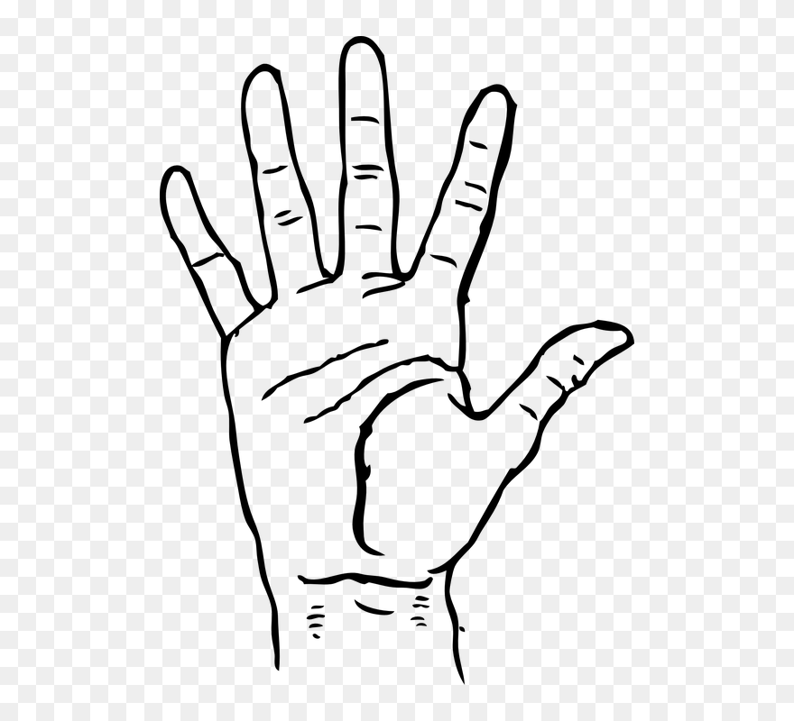 Download Transparent Hand Clipart - Drawing Of Hand For Kids - Png ...