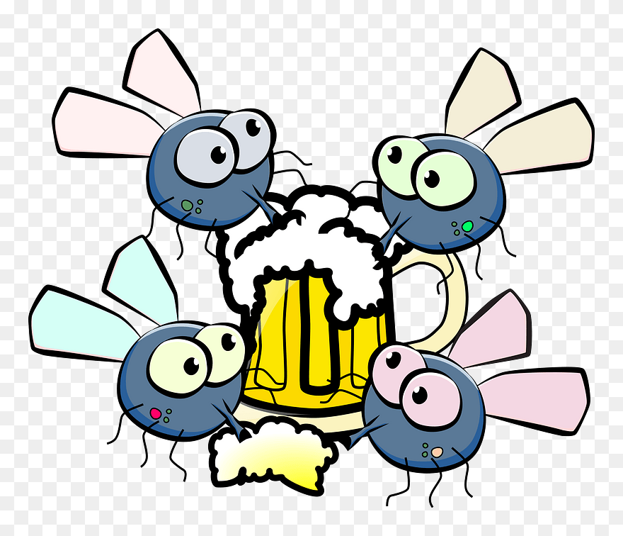 Fly Drinking Clipart - Clip Art - Png Download (#5372781) - PinClipart