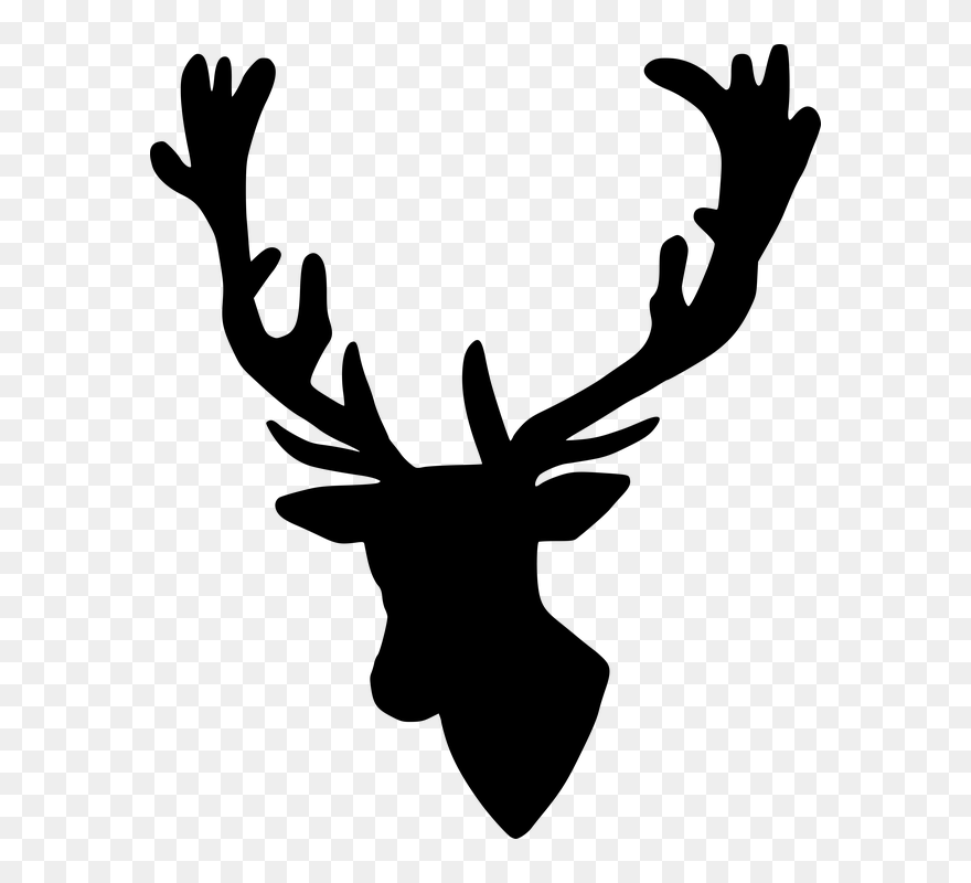 Cabeza De Ciervo Silueta Png Clipart (#5381763) - PinClipart