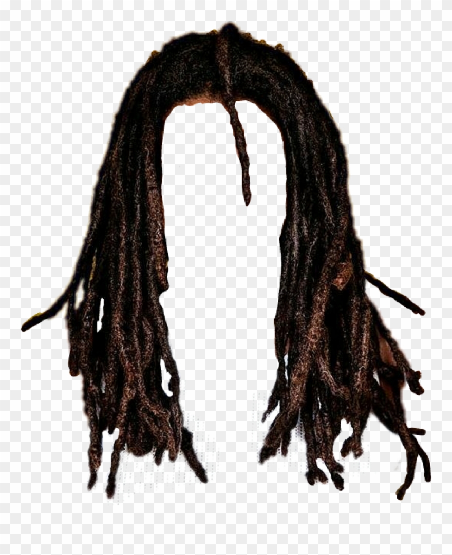 Download Dreads Vector Transparent - Dreadlocks Png Clipart (#540461 ...