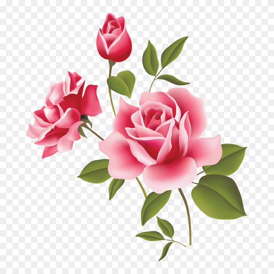 Download Pink Rose Clip Art 7takyynqc Png - Sexy Japan Lingerie Girl ...