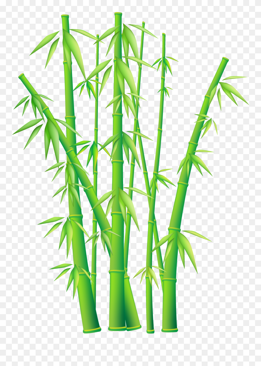 Transparent Bamboo Cartoon - Bamboo Tree Transparent Background Clipart ...