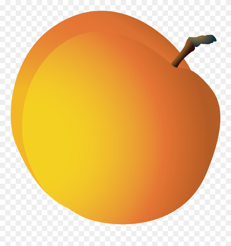 Download Grapefruit Pomelo Cartoon Transprent - Circle Clipart ...