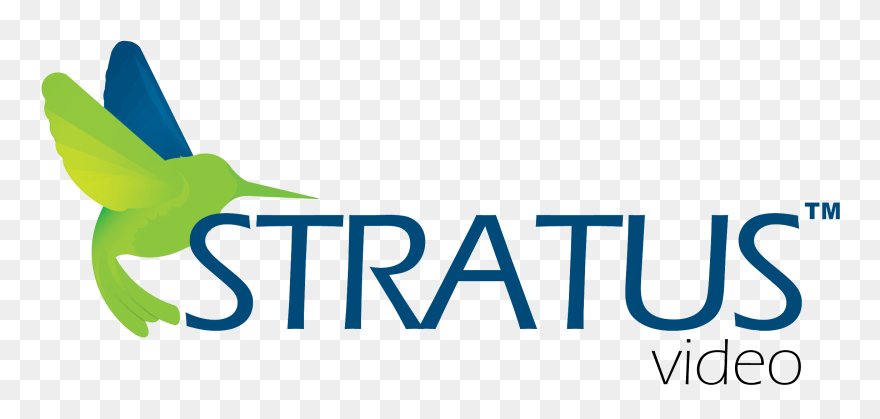 Amn Healthcare Acquires Vri Provider Stratus Video - Stratus Video ...