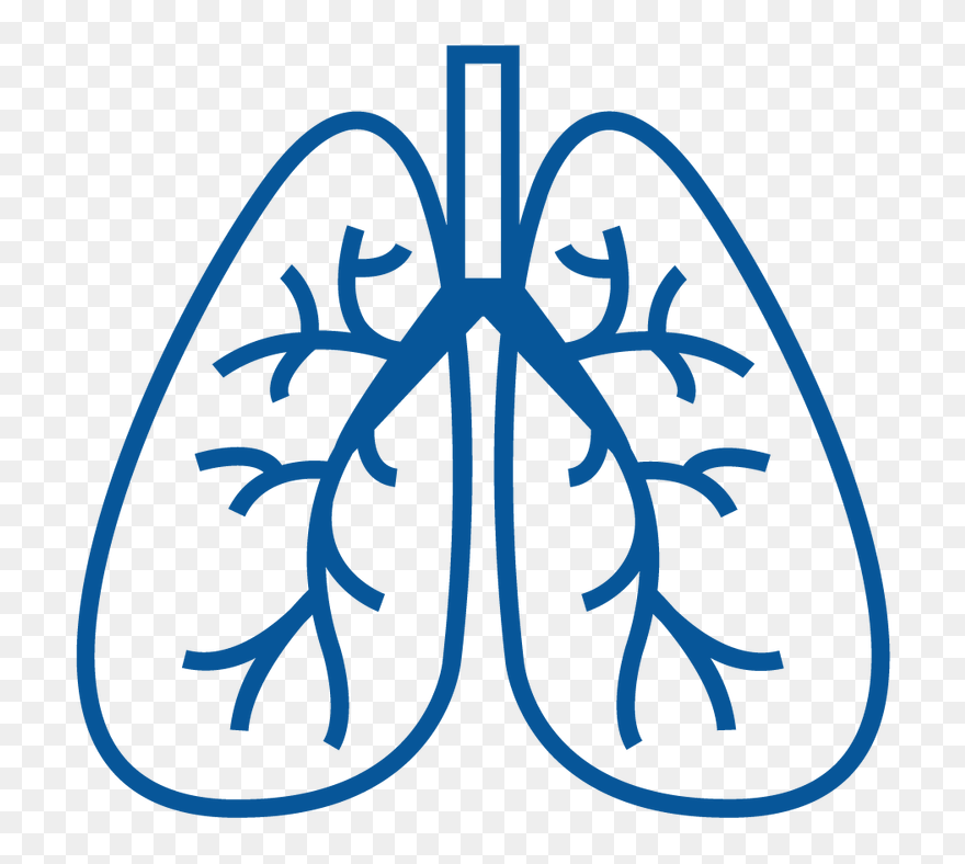 Download Chronic Obstructive Pulmonary Disease - Respiratory System Png ...