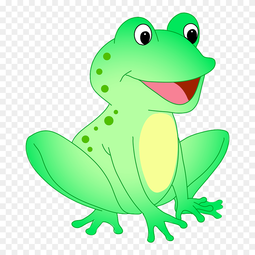Frog Clipart - Rana Clipart - Png Download (#5437214) - PinClipart