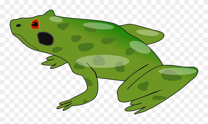 Frog Clipart - Clip Art - Png Download (#5437309) - PinClipart