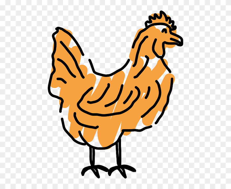 Outline, Bird, Style, Chicken, Art, Scribbled, Scribble - Chicken ...