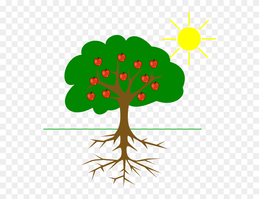 Apple Tree With Roots Clipart (#5441126) - PinClipart
