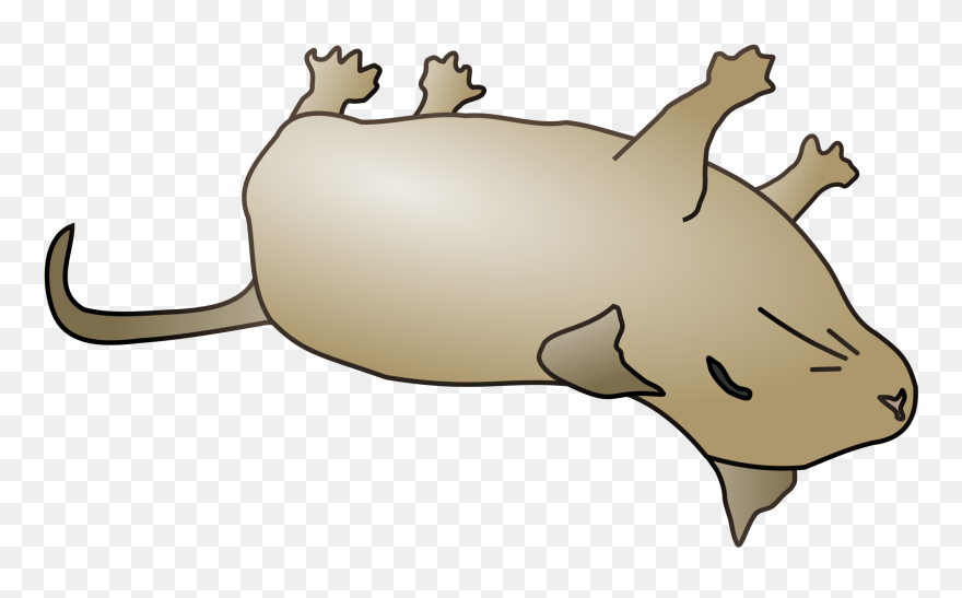 Mouse Animals Clipart - Transparent Dead Animal Clipart - Png Download ...