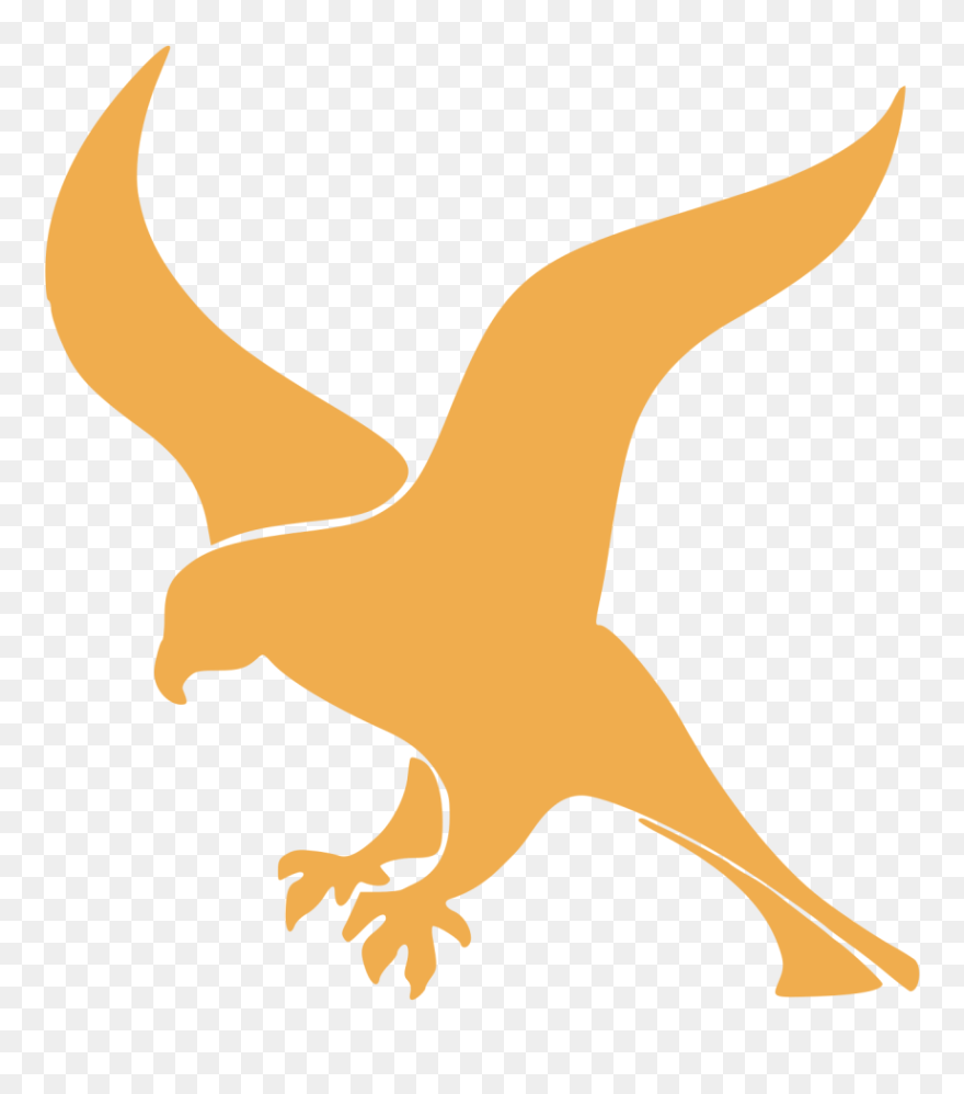 Claws Clipart Falcon - Falcon Python - Png Download (#5455361) - PinClipart