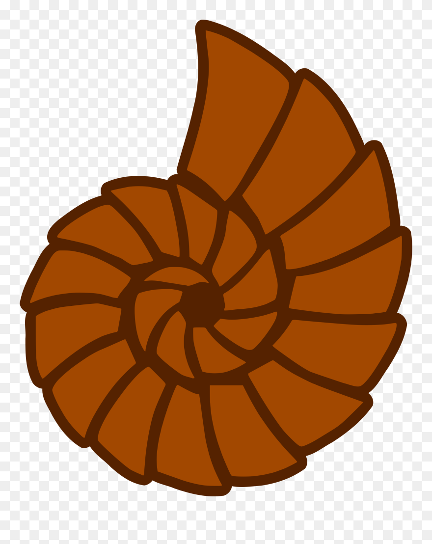 Clipart - Brown Shell Clipart - Png Download (#5456410) - PinClipart