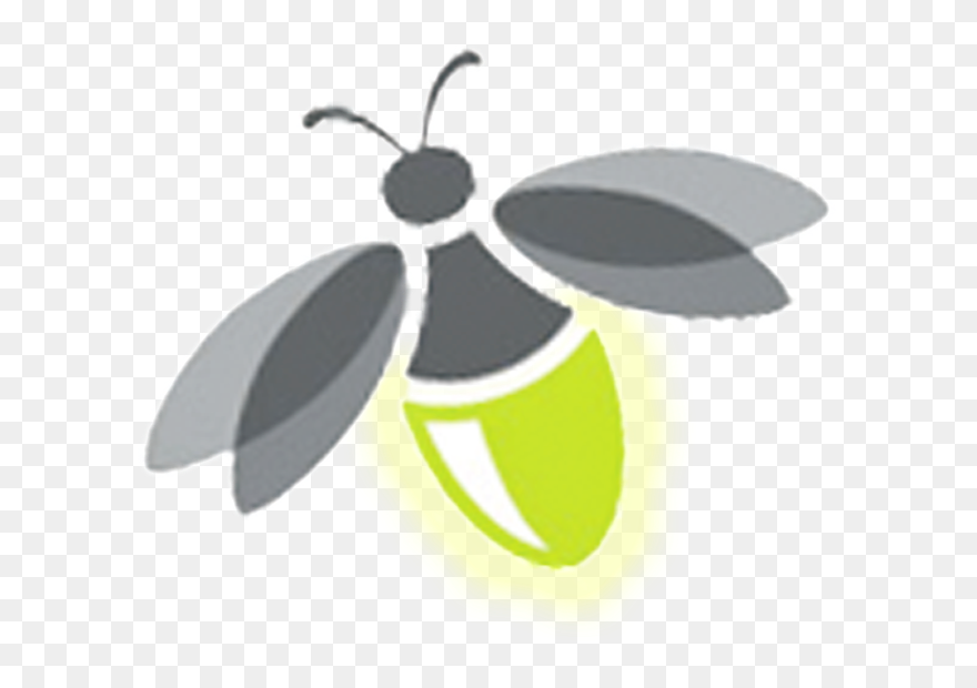 Transparent Images Pluspng - Transparent Background Firefly Clipart ...