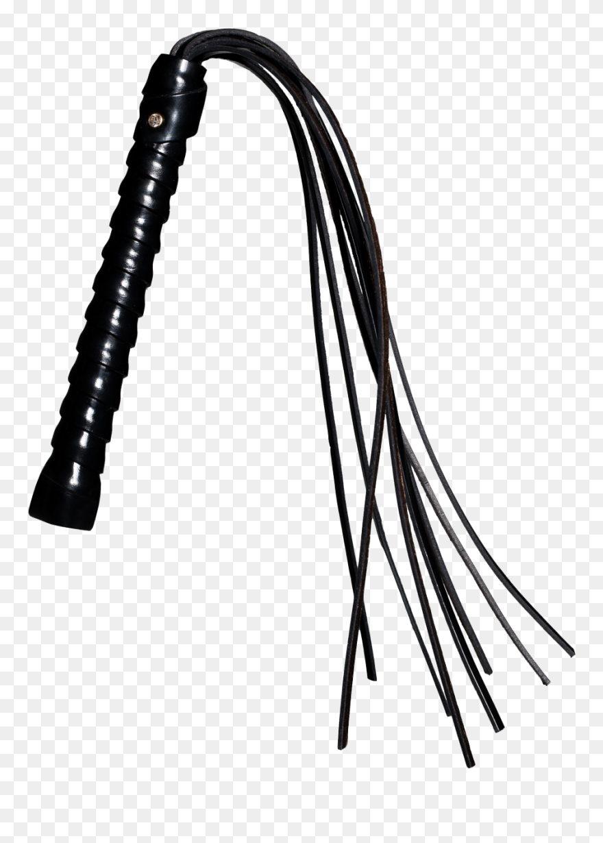 Whip Png Free Image Download - Transparent Whip Png Clipart (#5474981 ...