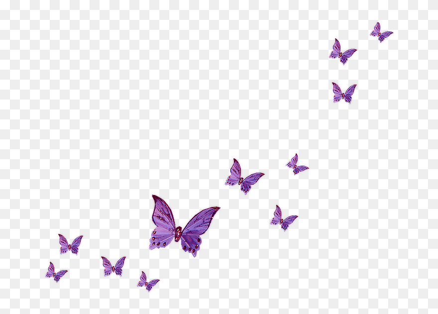 Download Lavender Clipart Lavender Butterfly - Transparent Background ...