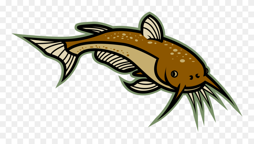 Fish Clipart Hito - Catfish Vector - Png Download (#5483104) - PinClipart