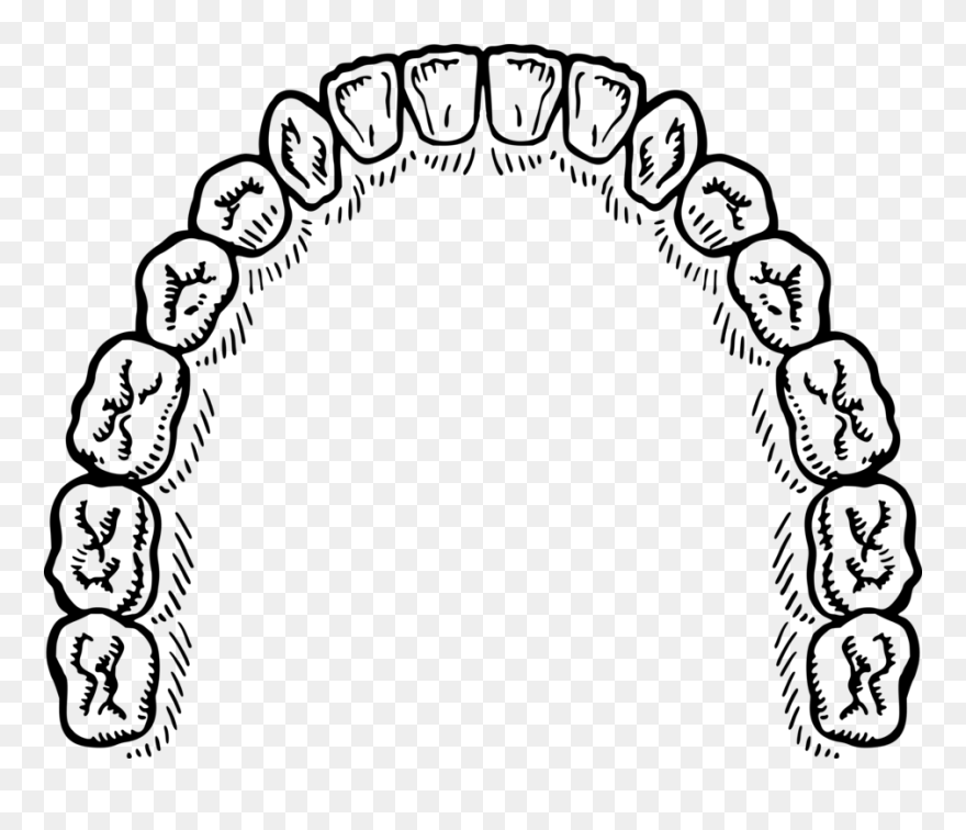 Line Art,circle,coloring Book - Mouth Of Teeth Vector Clipart (#5499780 ...