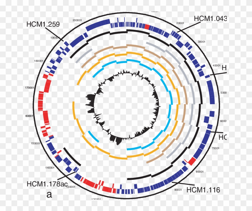 Download Pcr Confirmation Of Microarray Results - Polymerase Chain ...