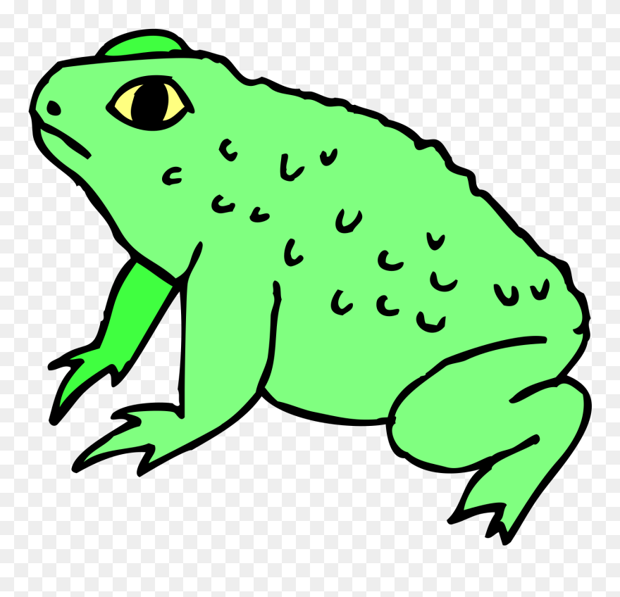 Toad Clipart - Png Download (#5501344) - PinClipart