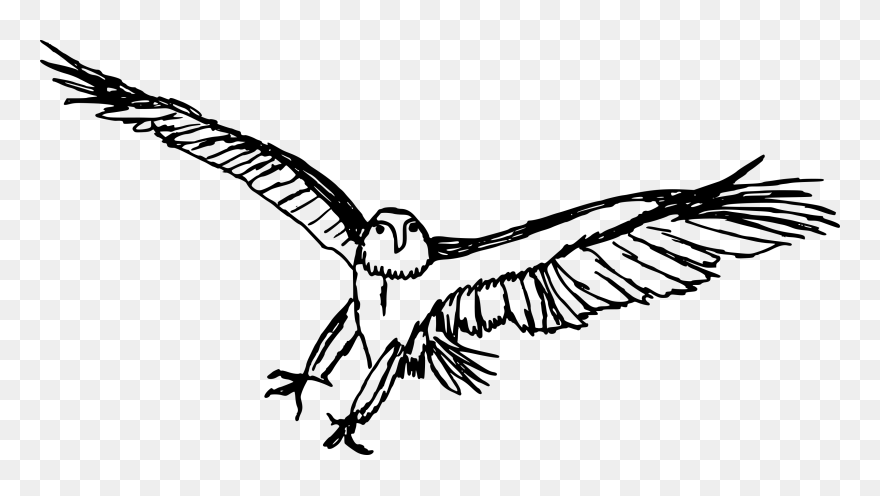 Drawing Eagles Abstract - Eagle Drawing Transparent Background Clipart ...