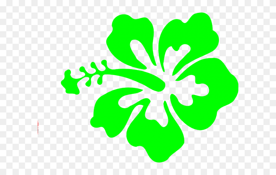 Cartoon Hibiscus Flower - Md Mba Eugene Rhee Md Urology Clipart ...