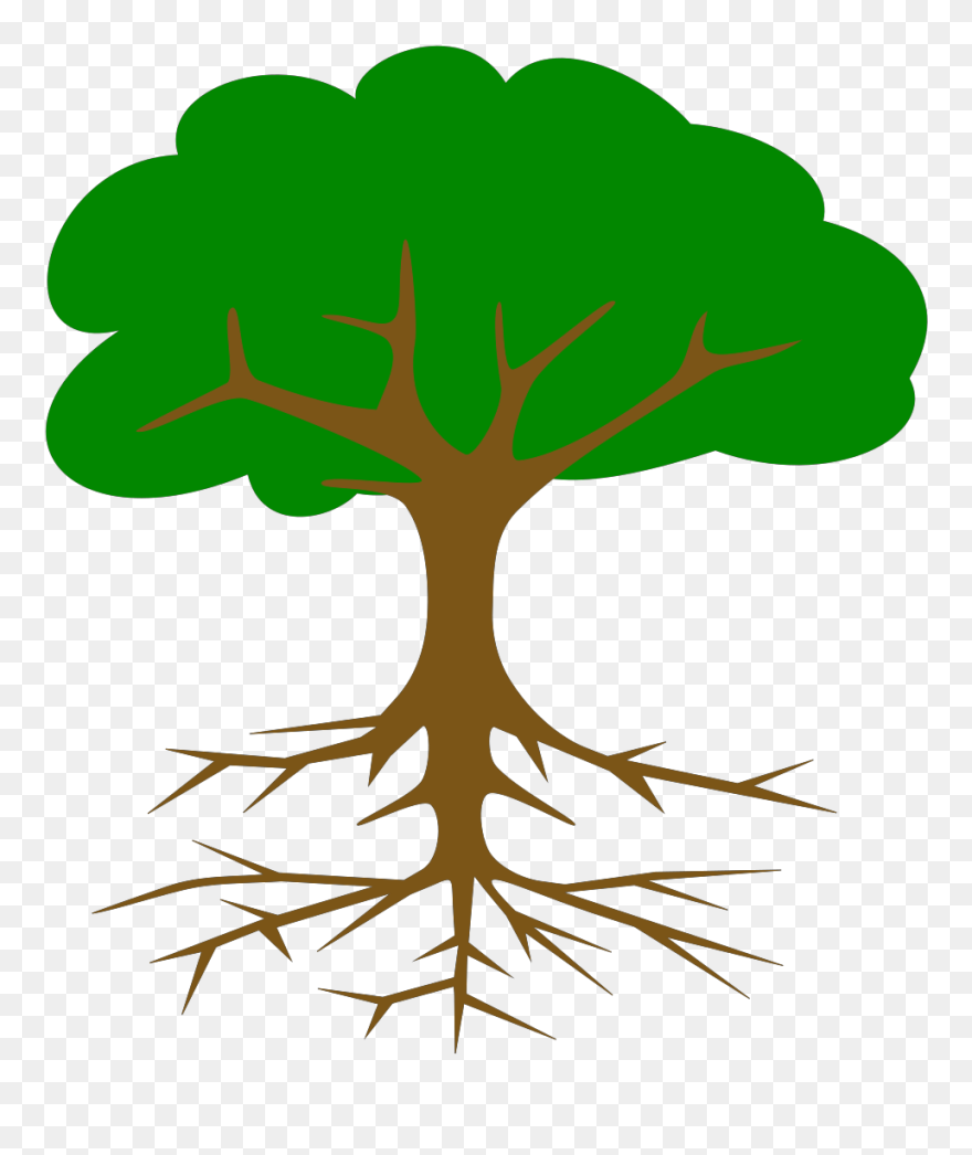 Download Tree Root Cause Analysis Clipart (#5535215) - PinClipart