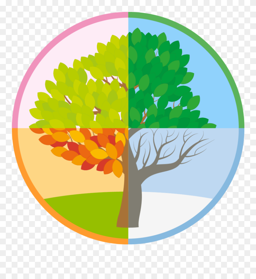 Download Spring Winter Summer Fall Colour Clipart (#5560619) - PinClipart