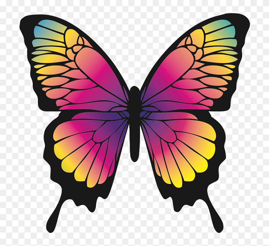Download Colourful Butterfly Clipart - Crying Butterfly - Png Download ...