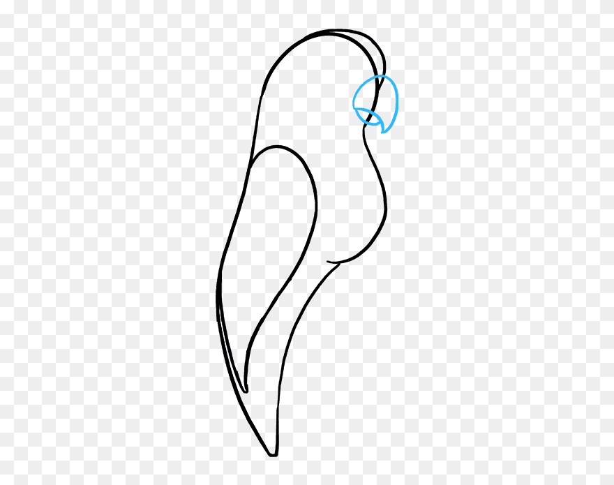 Download How To Draw Parrot - Line Art Clipart (#5572097) - PinClipart